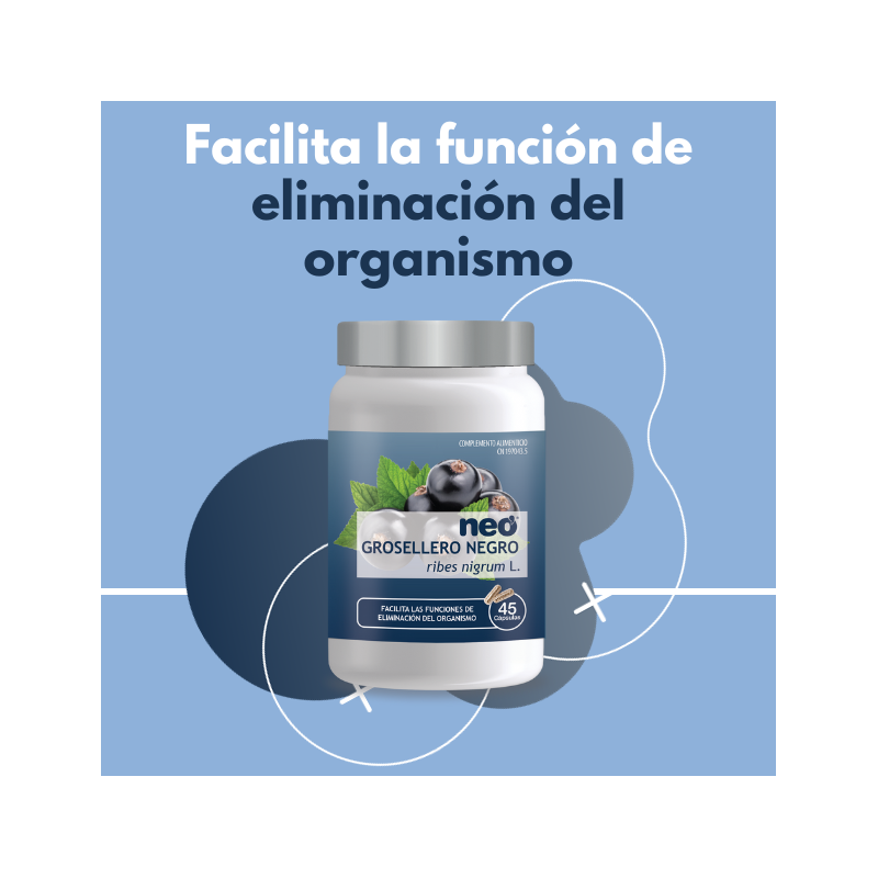 GROSELLERO NEGRO NEO