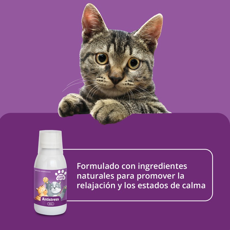 NEO CATS ANTISTRESS 120 ML