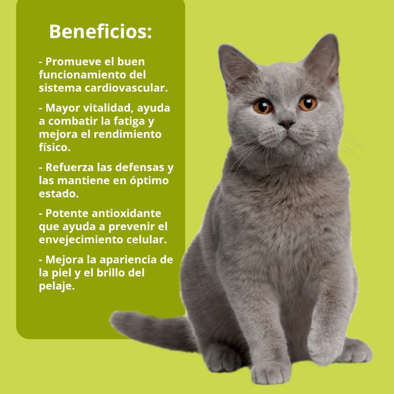 NEO CATS VITALITY 120 ML